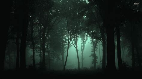 Dark Green Forest Wallpapers Wallpaper Cave