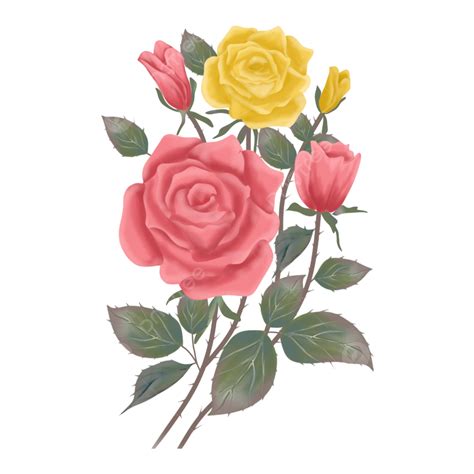 Hermosas Rosas Rosadas Y Amarillas PNG Dibujos Flores Rosa Ramo De