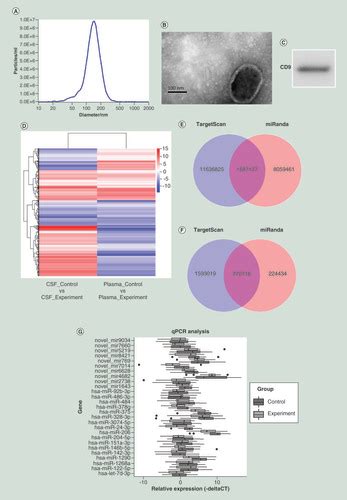 Full Article Identification Of A Potential Exosomal Biomarker In