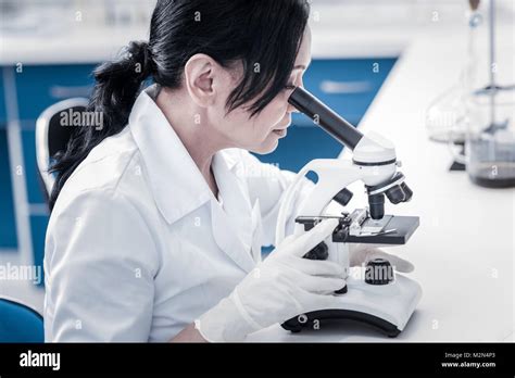 Concentrated Scientist Examining Sample Under Microscope Stock Photo