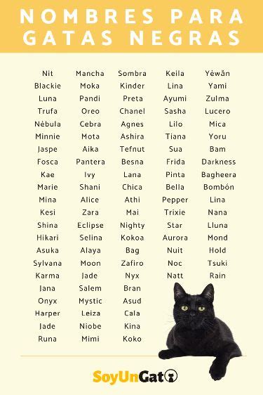 Nombres Para Gatas Negras Nombres Para Gatas Nombres Nombres Para