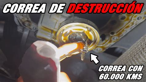Por qué la correa de distribución bañada en aceite es la mejor opción