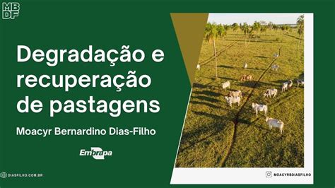 Degradação e recuperação de pastagens YouTube