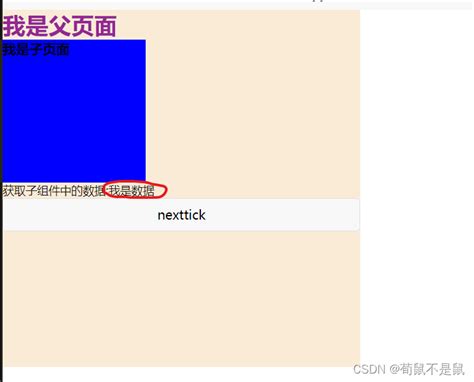 vue：ref的作用和实例 vue的ref csdn博客