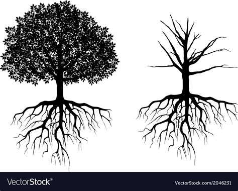 Tree Roots Vector At Vectorified Collection Of Tree Roots Vector