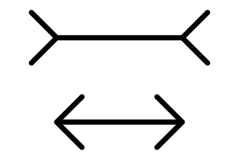 Optical Illusions That Will Make Your Brain Hurt In Optical
