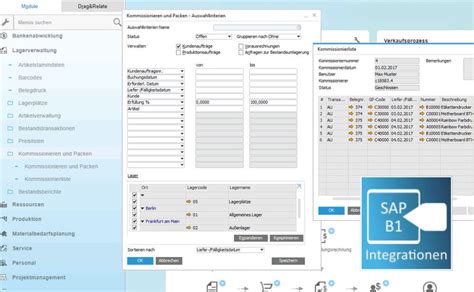 Sap Business One Project Examples References