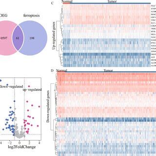 A The Differentially Expressed Genes DEGs Associated With