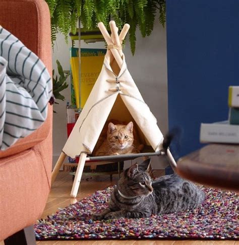 70 Ou Plus Tipi Pour Chat A Fabriquer 173969 Tipi Pour Chat A