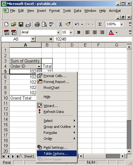 ms excel 2003 do not save data with table layout in a pivot table