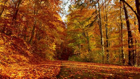 Cuándo empieza el otoño 2023 en España Día y hora exacta
