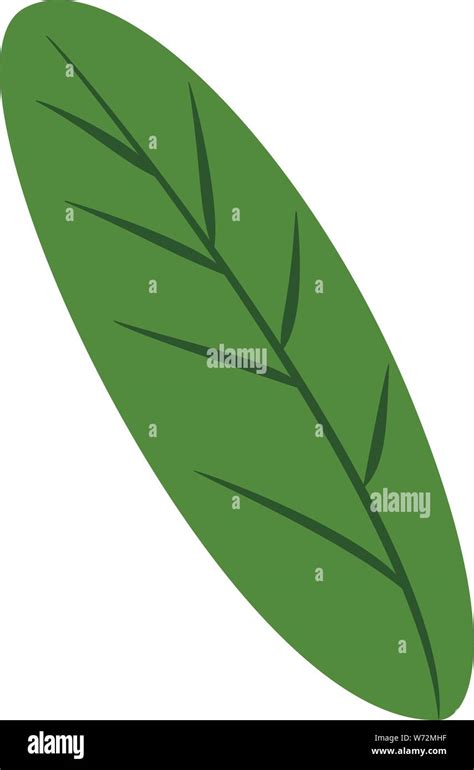 Green Banana Leaf Icon Cartoon Of Green Banana Leaf Vector Icon For