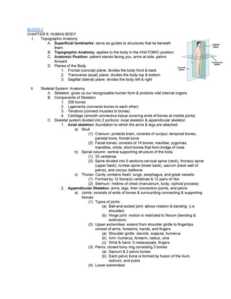 Anatomy And Physiology Chapter Worksheets Answers Printable Worksheets