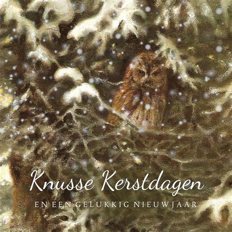 Kerstkaart Met Winterse Uil In Bos Kaartje Go