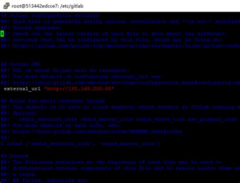 docker中安装gitlab详细全教程 誓鼎 博客园