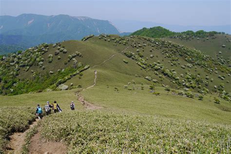 鈴鹿山脈竜ヶ岳龍の道再生プロジェクト YAMAP ヤマップ
