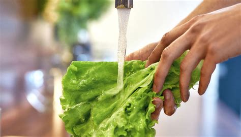 Qual é a forma certa de lavar verduras e legumes Delicioso Dicas de