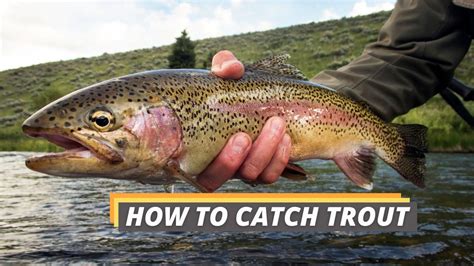 How To Catch Trout In Lakes And Rivers Fished That