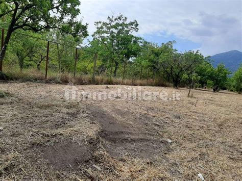 Terreno Agricolo Traversa Via MARIGLIANO SNC Somma Vesuviana Rif