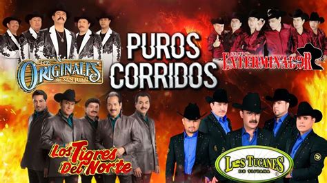 Los Tigres Del Norte Los Tucanes De Tijuana Los Terribles Del Norte