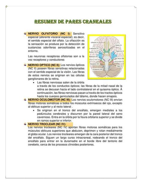 Pares Craneales AFStudentHelp UDocz