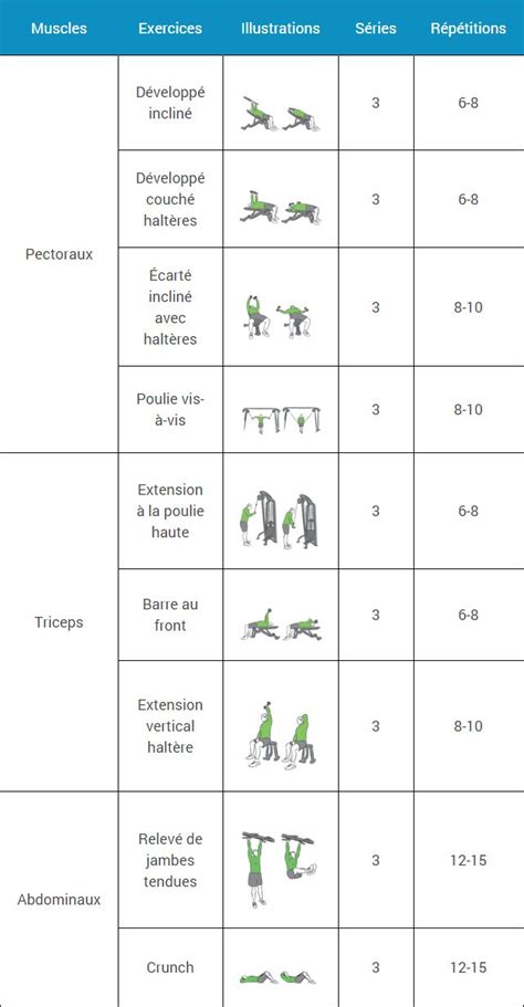Programme Musculation Débutant Espace Musculation Programme