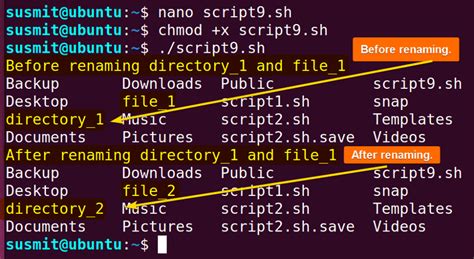 bash file manipulation examples [10 included] linuxsimply