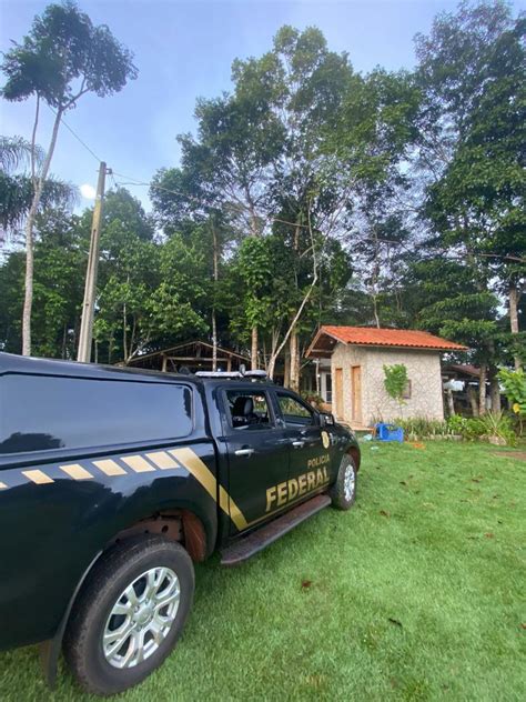 PF deflagra operação em combate à extração ilegal de madeira em terras