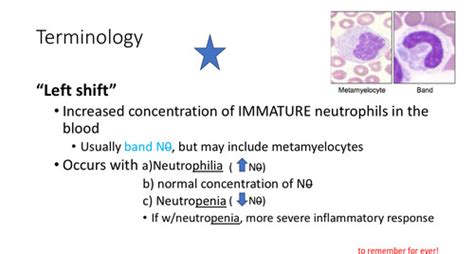 Clinpath Leukocytes Pt Leukogram Exam Flashcards Quizlet