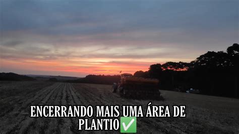 Finalizando Mais Uma Rea De Plantio Youtube