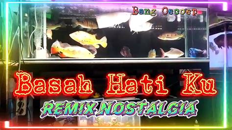 AKU TAK BIASA REMIX VIDEO FULL IKAN ARWANA OSCAR Ikanarwana