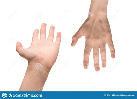 Mano De Mujer Aislada En Un Fondo Blanco Foto De Archivo Imagen De