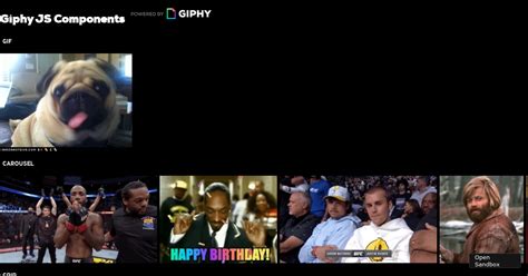 Giphy Js Components Forked Codesandbox