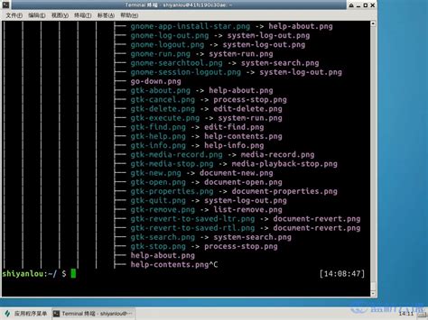 linux 目录结构及文件基本操作 蓝桥云课