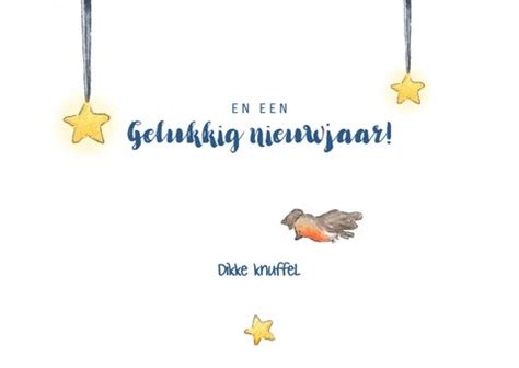 Roodborstjes Op Een Tak Kerstkaart Kaartje2go