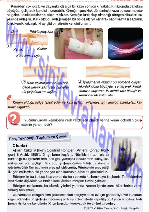 6 Sınıf Fen Bilimleri Tuna Matbaa Yayınları Ders Kitabı Cevapları