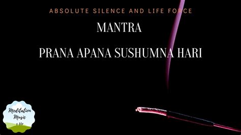 Powerful Mantra For Meditation Prana Apana Sushumna Hari YouTube