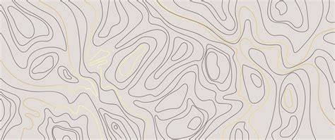 Luxury Gold Abstract Line Art Background Vector Mountain Topographic