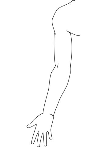 Dibujo De Brazo Humano Para Colorear Dibujos Para Colorear Imprimir