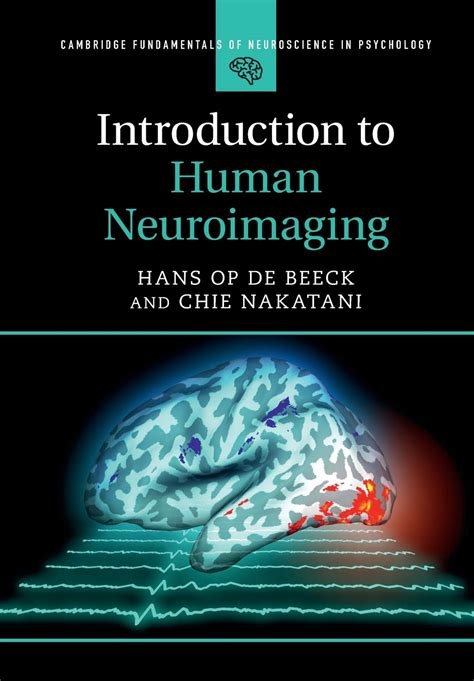 Cambridge Neuroimaging Fundamentos da Neurociência Angola Ubuy