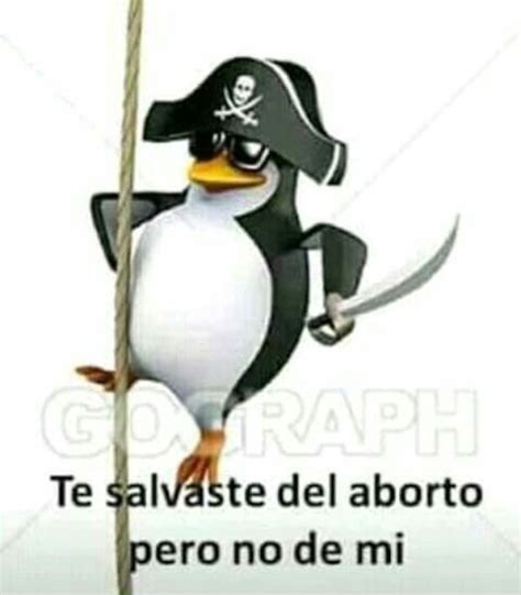 Memes Estúpidos Cute Memes Stupid Memes Jokes Meme Faces Funny