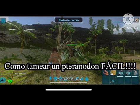 Cómo tamear a un pteranodon en ark mobile 2024 YouTube