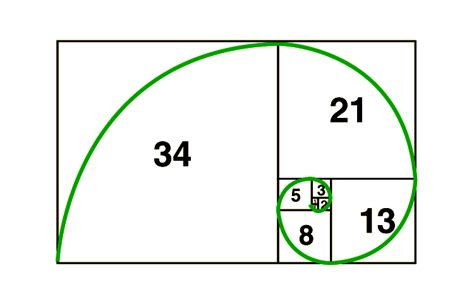 understanding fibonacci numbers testbook