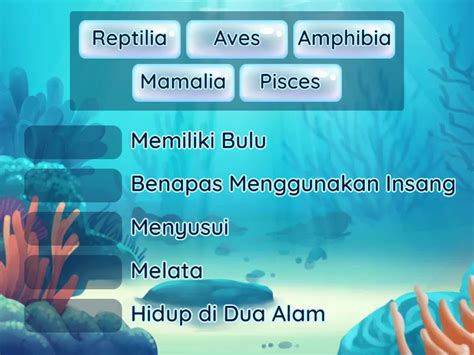 Ciri Ciri Hewan Vertebrata Match Up