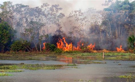 Cinco frentes combatem incêndios no Pantanal apoio de seis
