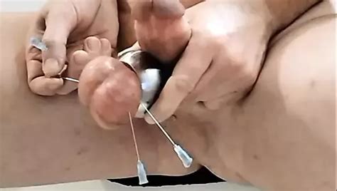 젖꼭지 바늘 놀이와 개미 xHamster