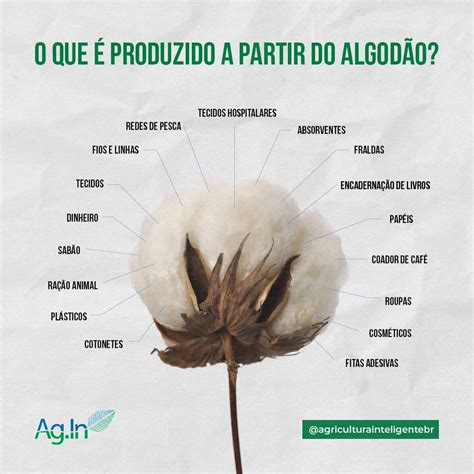 O que pode ser produzido a partir do algodão Agro Bayer Agro Bayer