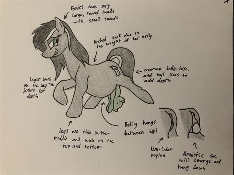 Explicit Artist Warrior Stew Derpibooru Import Oc Oc