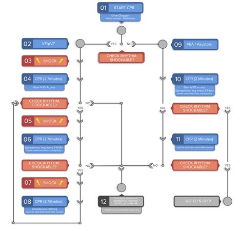 Important ACLS Algorithms You Need To Know CHARLES