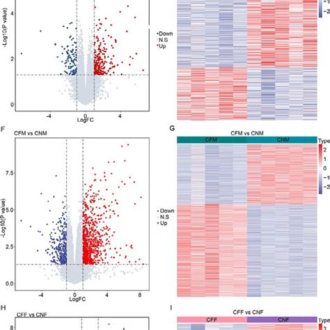 Differential Gene Expression Analysis A B The Volcano Plot And